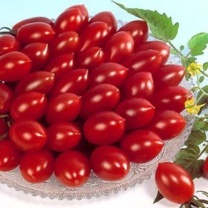 Légumes – Villiard Serres et jardins